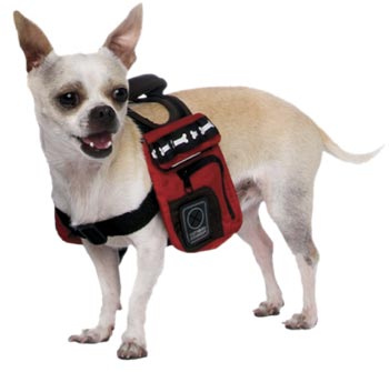 Urban Adventure Dog Backpack
